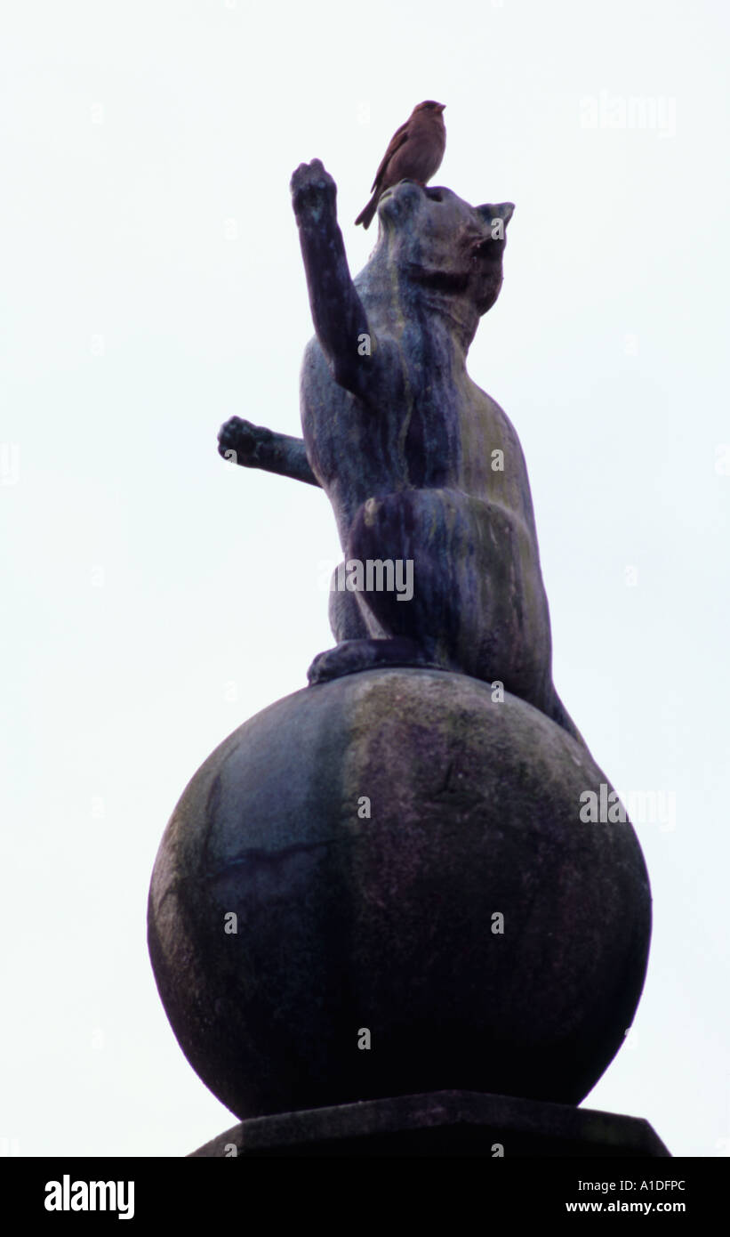 Auckland zoo new zealand hi-res stock photography and images - Alamy