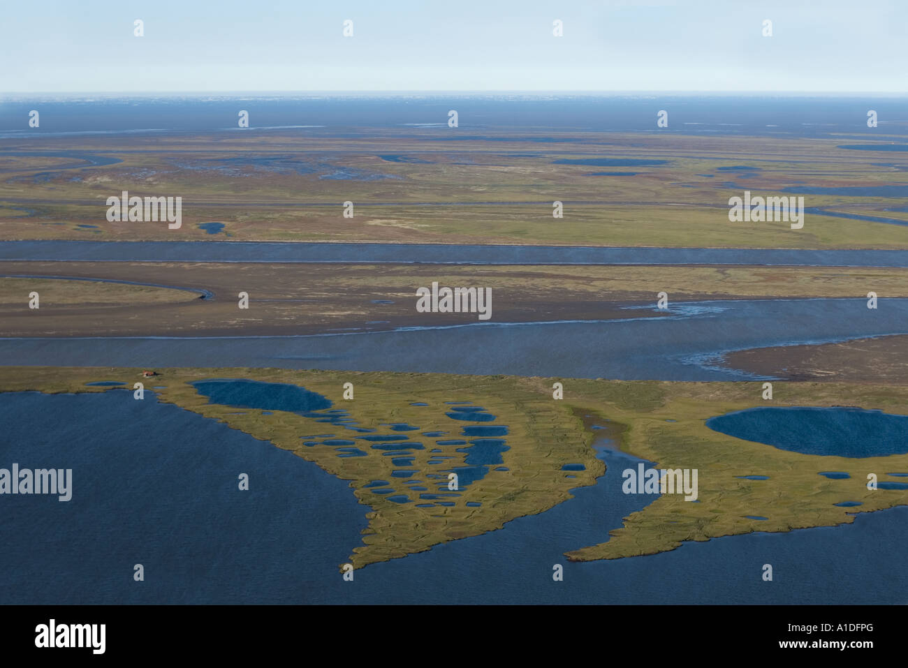 tundra landscape with freshwater ponds along the Arctic coast by the ...