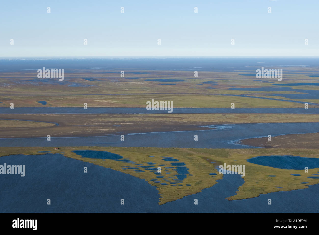 tundra landscape along the Arctic coast off the Colville River National ...