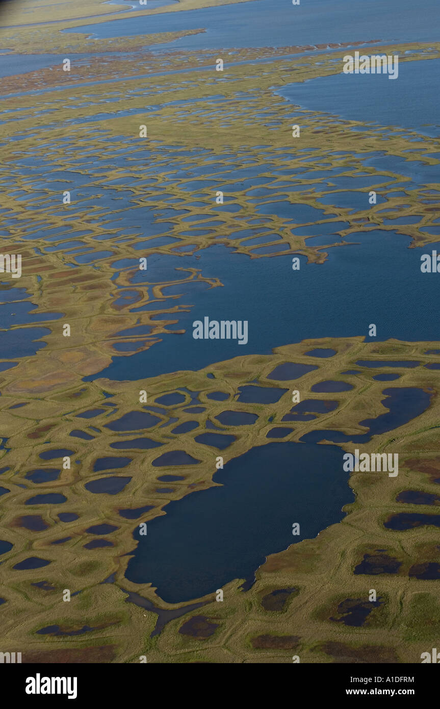 tundra landscape with freshwater ponds off the Colville River National ...