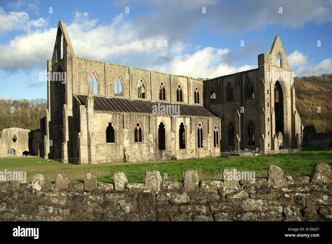 Tintern Abbey Monmouthshire South East Wales Stock Photo - Alamy
