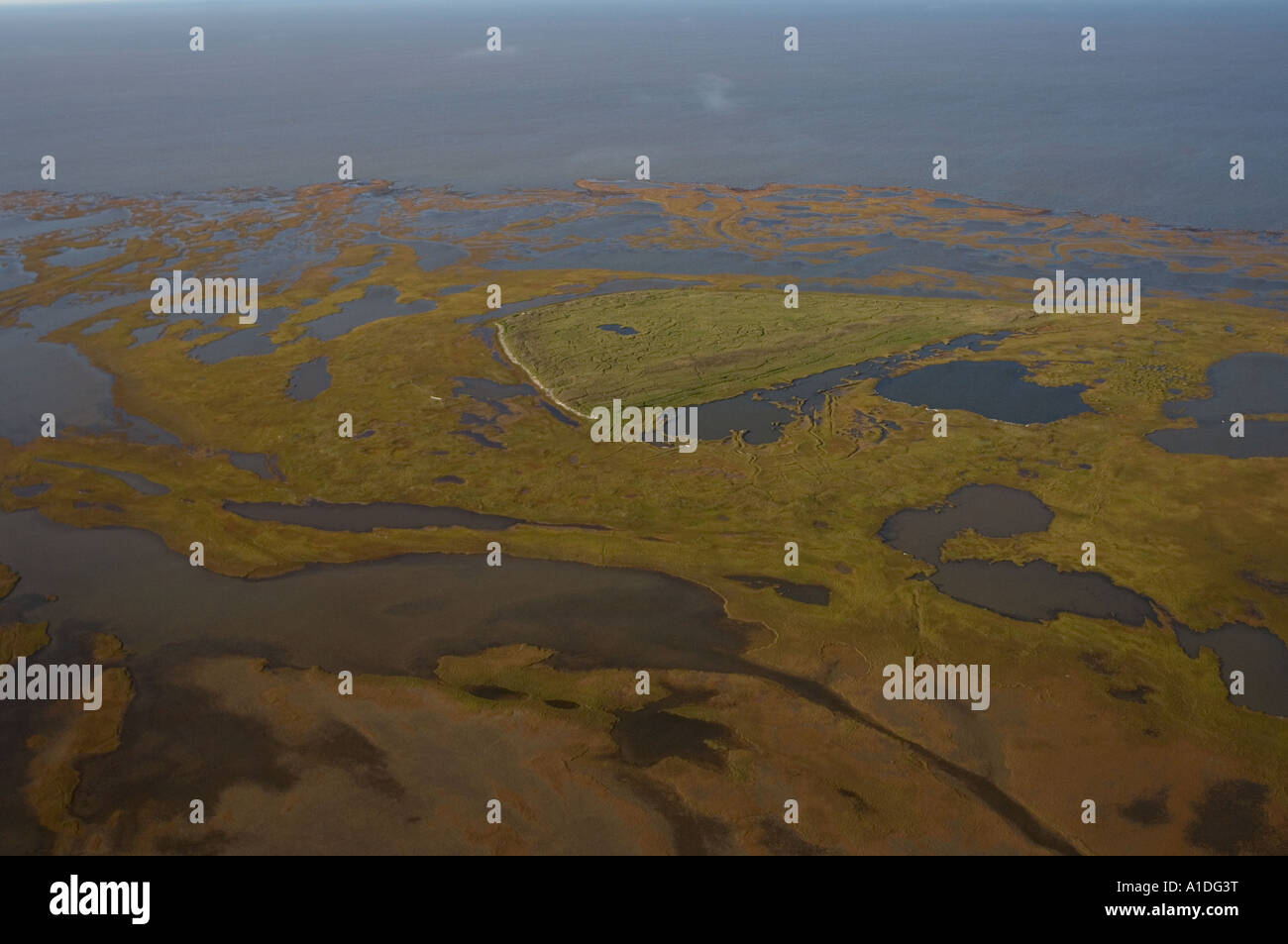 tundra landscape along the Arctic coast off the Colville River National ...