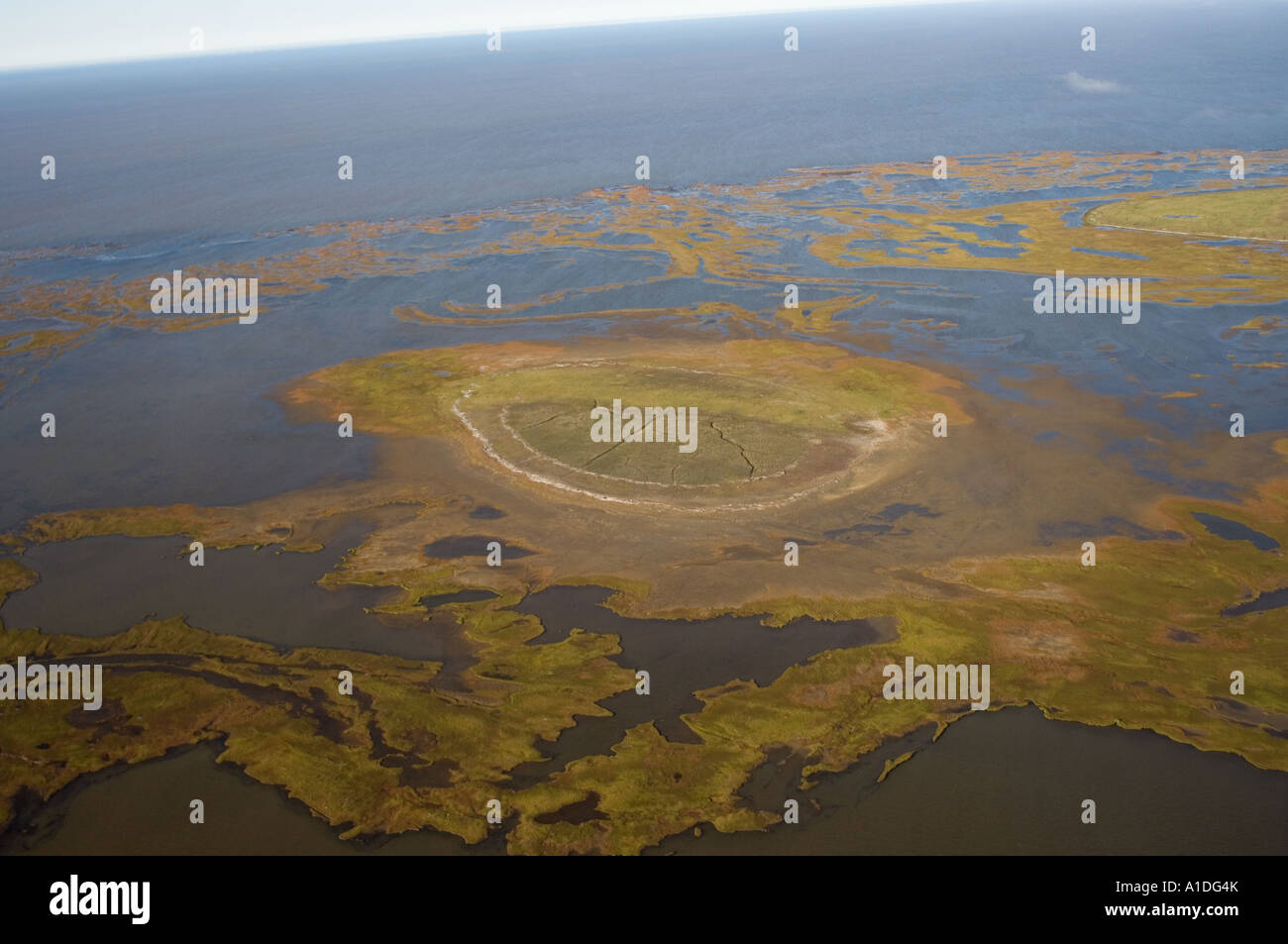 tundra landscape along the Arctic coast off the Colville River National ...