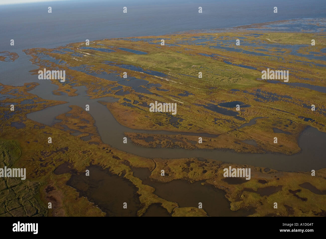 tundra landscape along the Arctic coast off the Colville River National ...