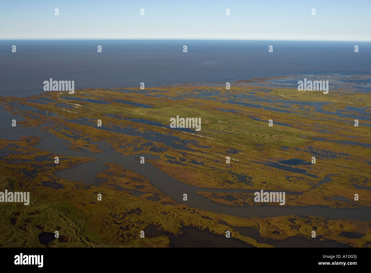 tundra landscape along the Arctic coast off the Colville River National ...
