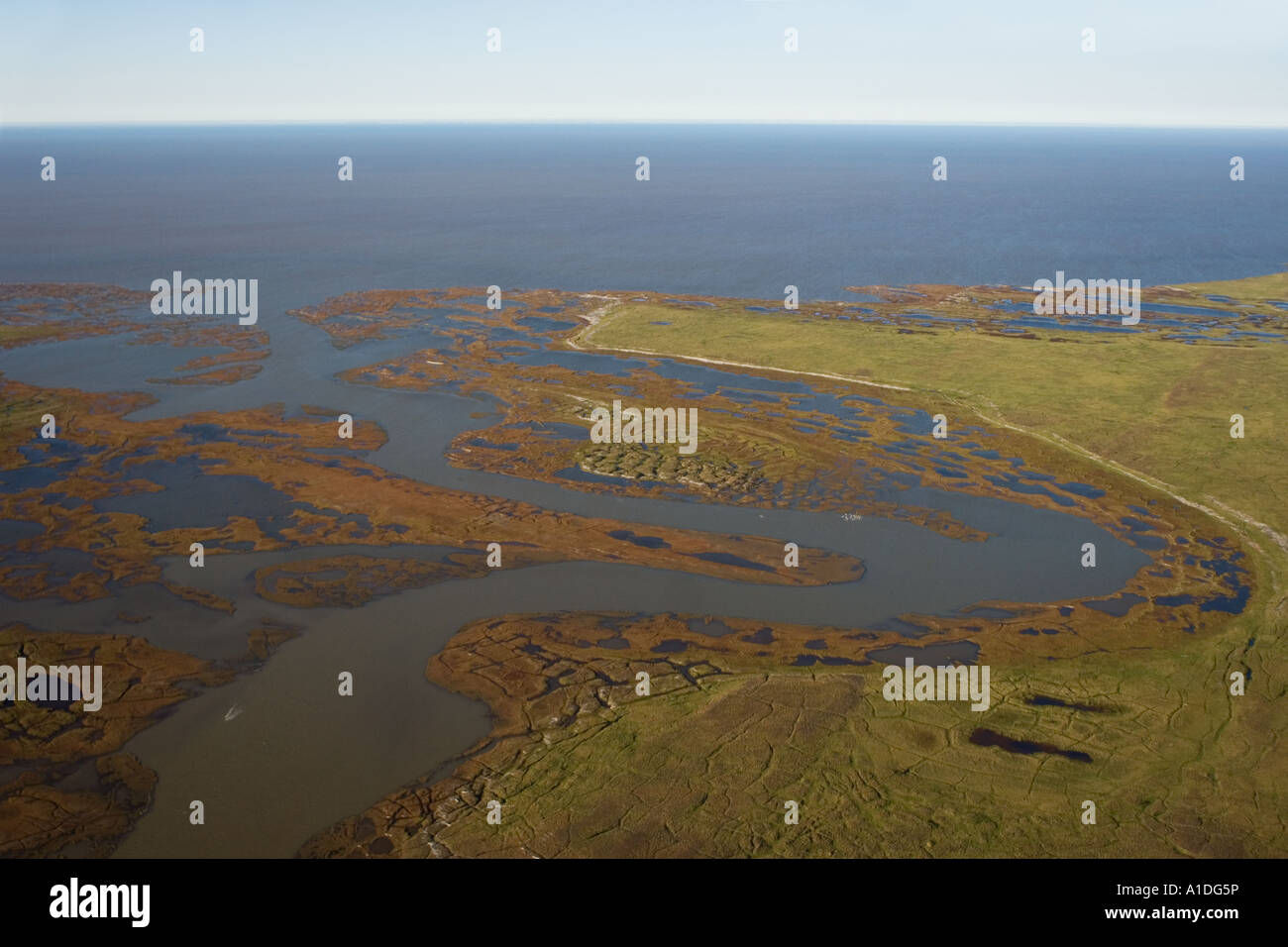 tundra landscape along the Arctic coast off the Colville River National ...