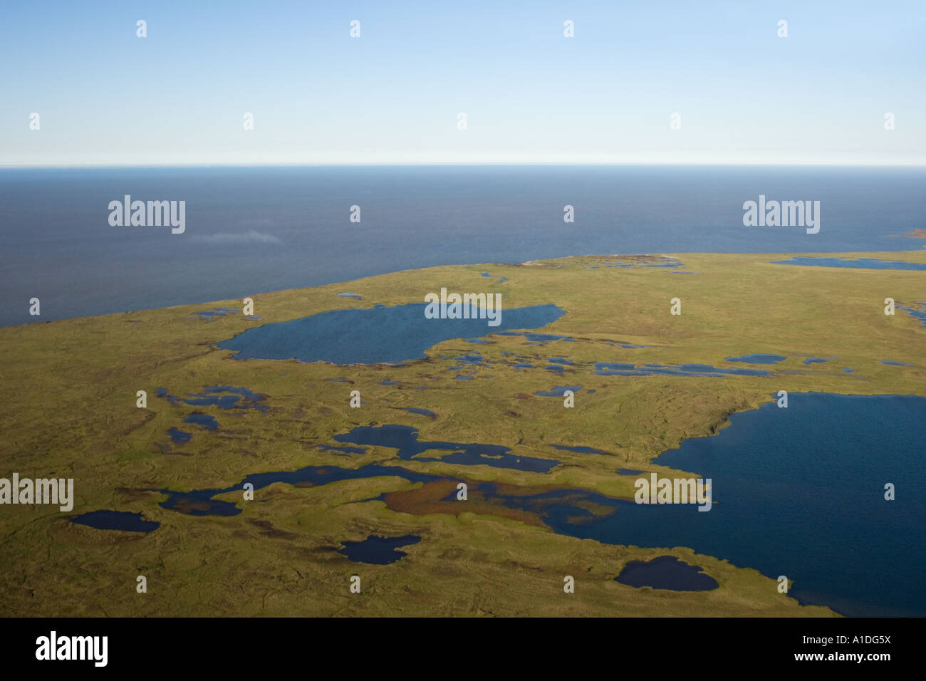 tundra landscape with freshwater ponds along the Arctic coast by the ...