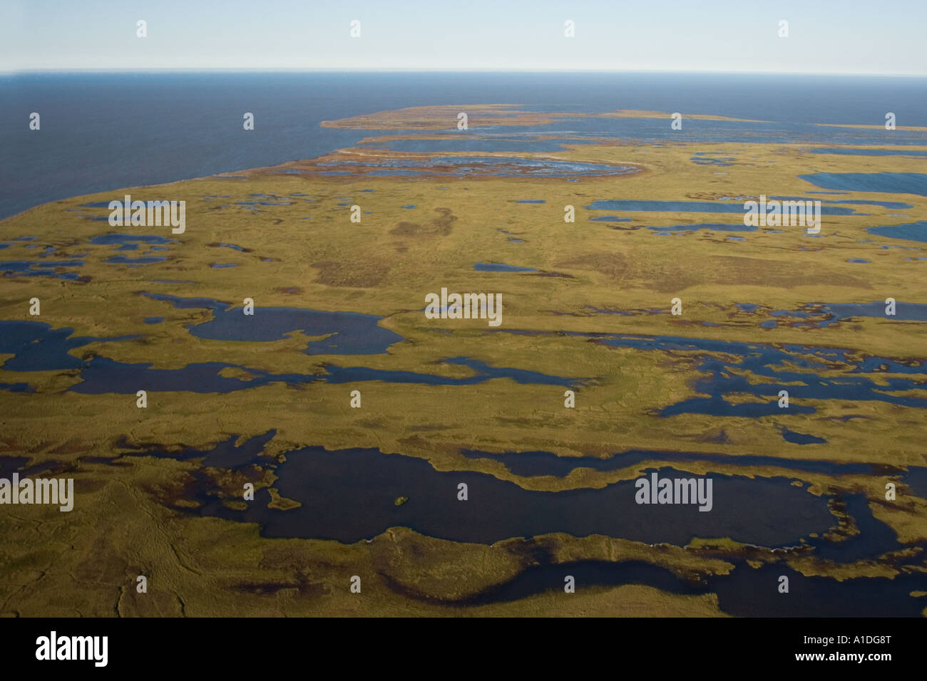 tundra landscape along the Arctic coast off the Colville River National ...