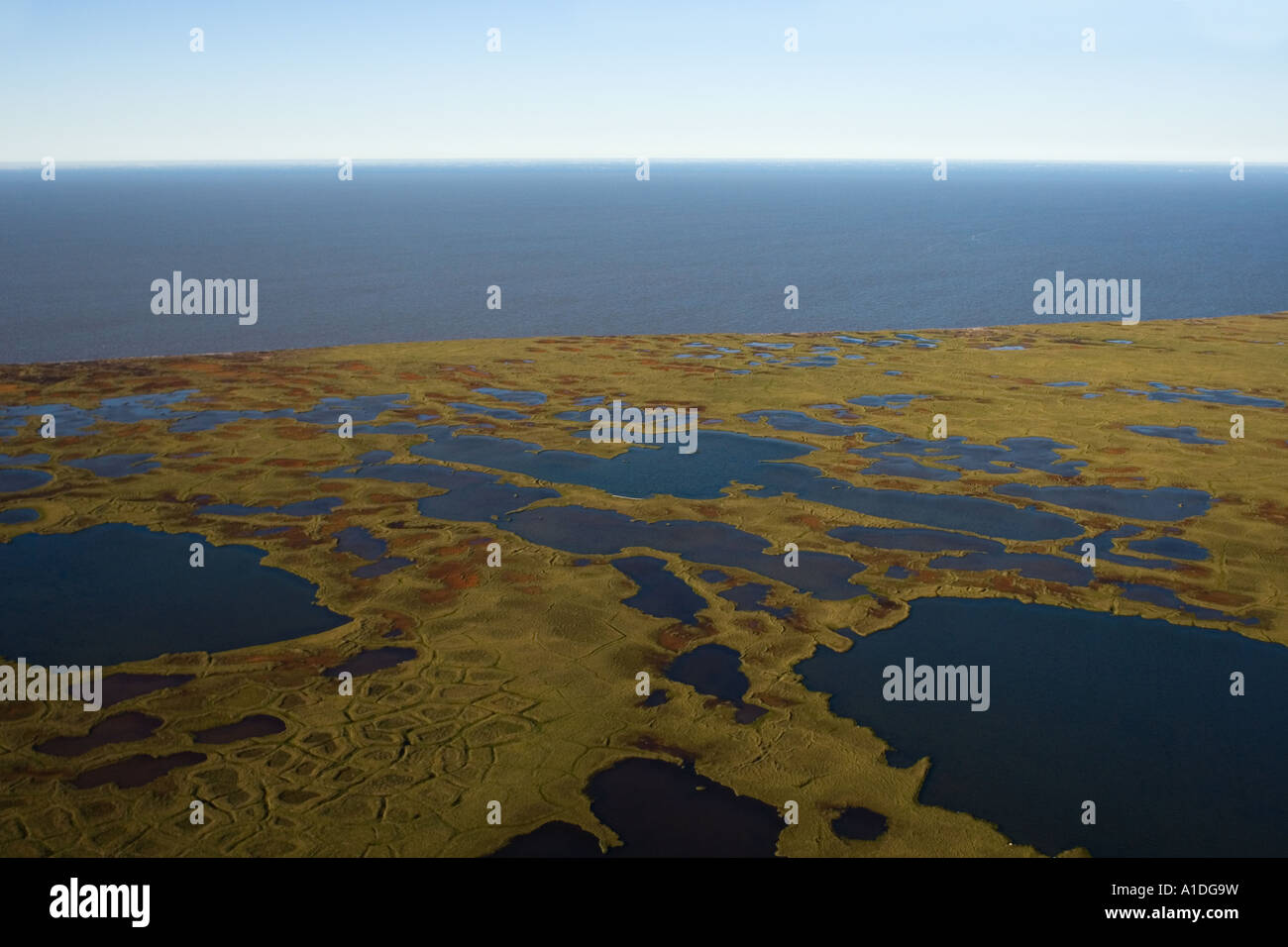 tundra landscape with freshwater ponds along the Arctic coast by the ...