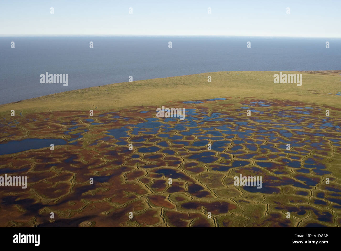 tundra landscape with freshwater ponds along the Arctic coast by the ...