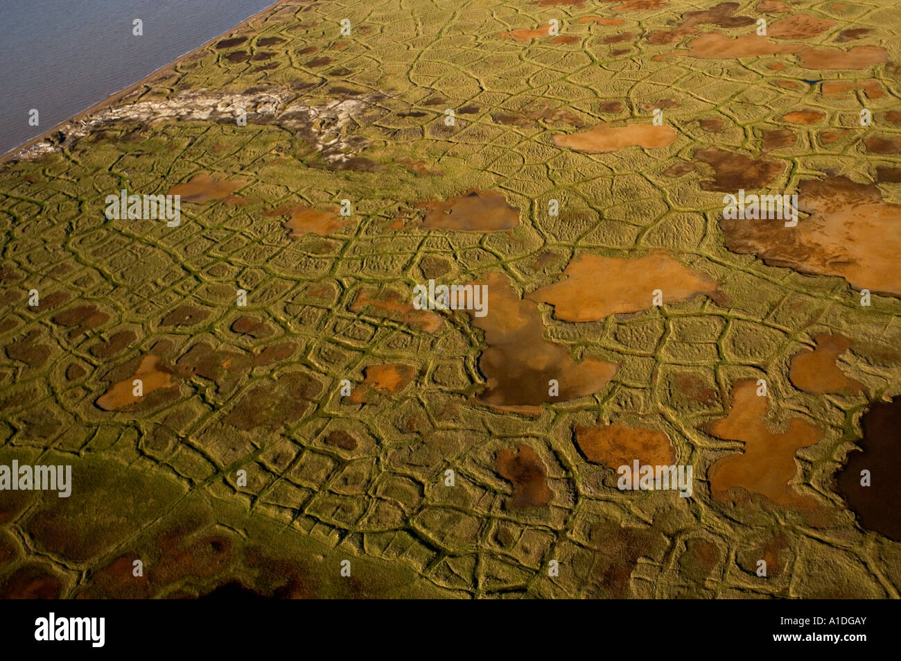 tundra landscape along the Arctic coast off the Colville River National ...