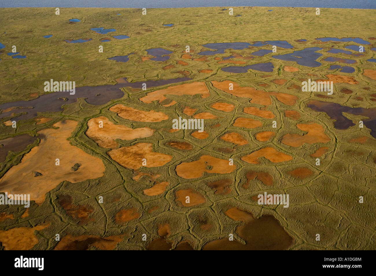 tundra landscape along the Arctic coast off the Colville River National ...