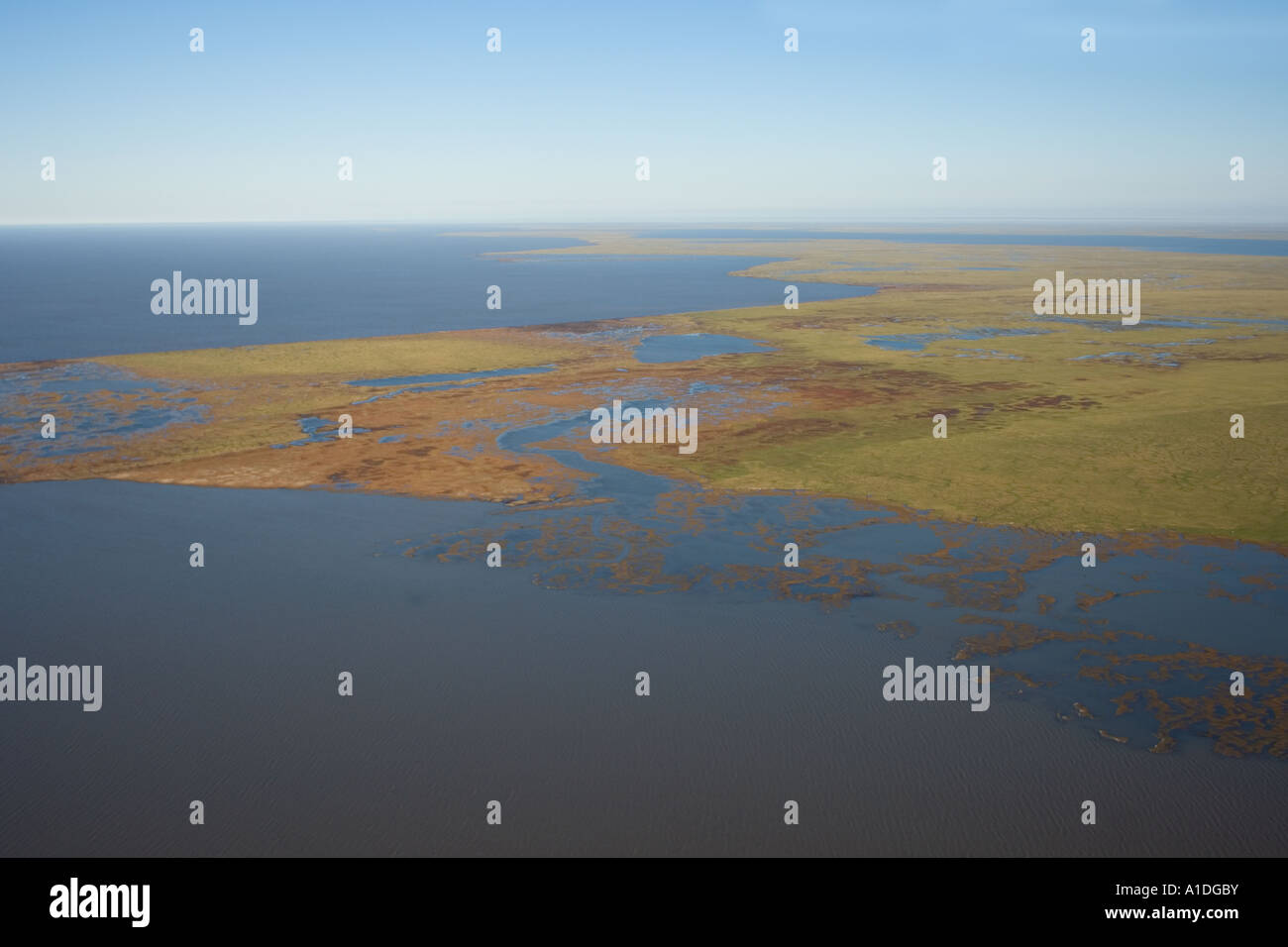 tundra landscape along the Arctic coast off the Colville River National ...