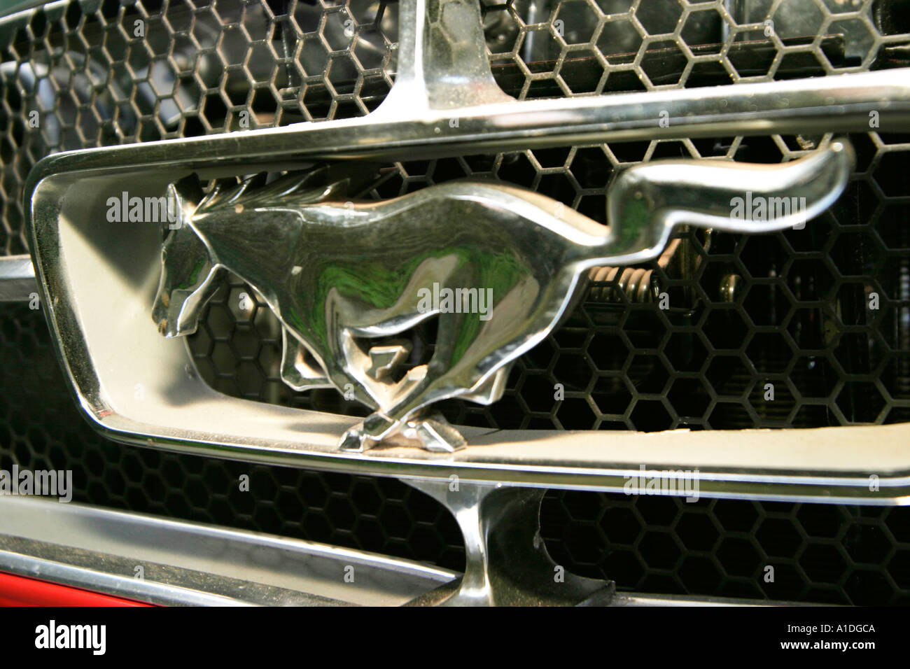 Close-up Of Ford Mustang Badge Stock Photo - Alamy