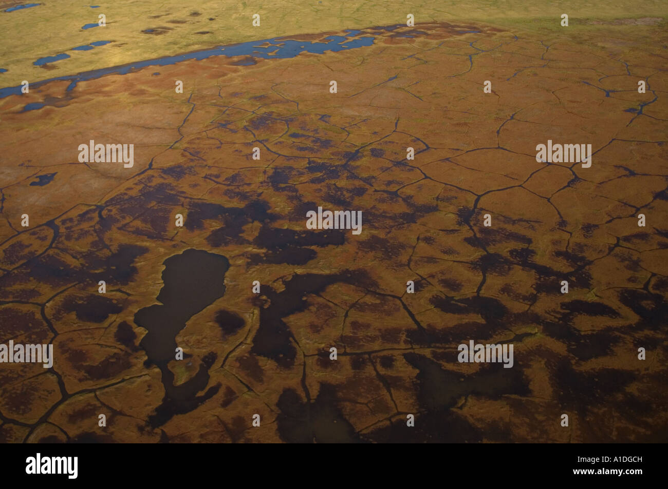 tundra landscape along the Arctic coast off the Colville River National ...