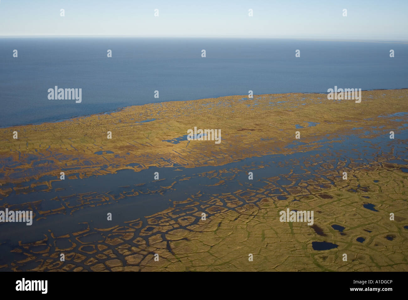tundra landscape along the Arctic coast off the Colville River National ...