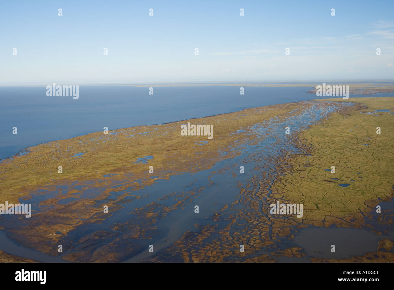 tundra landscape along the Arctic coast off the Colville River National ...