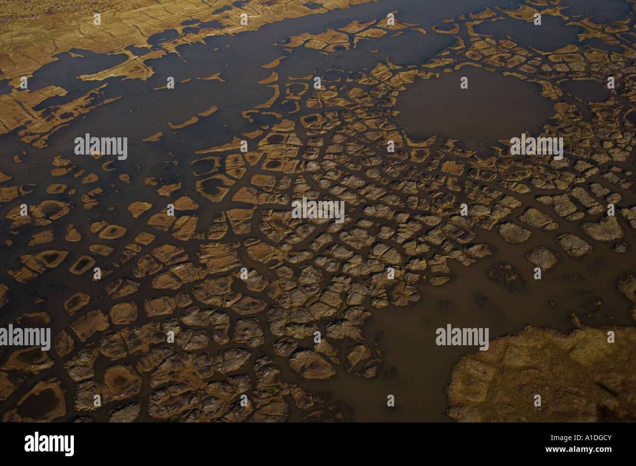 tundra landscape with freshwater ponds along the Arctic coast by the ...