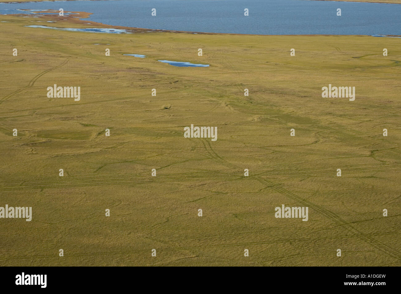 tundra landscape along the Beaufort Sea Arctic Ocean Arctic coast off ...