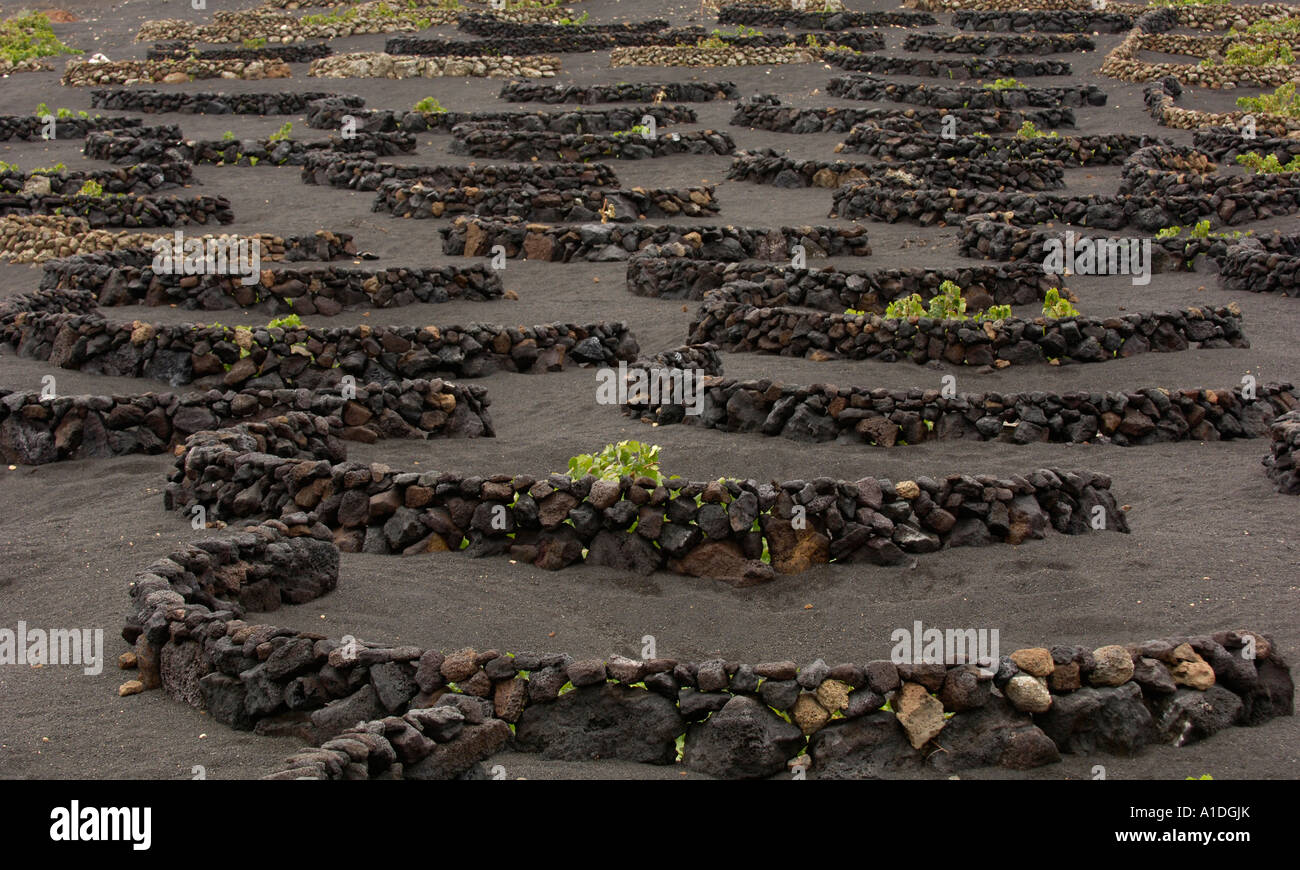 Geria lanzarote hi-res stock photography and images - Alamy