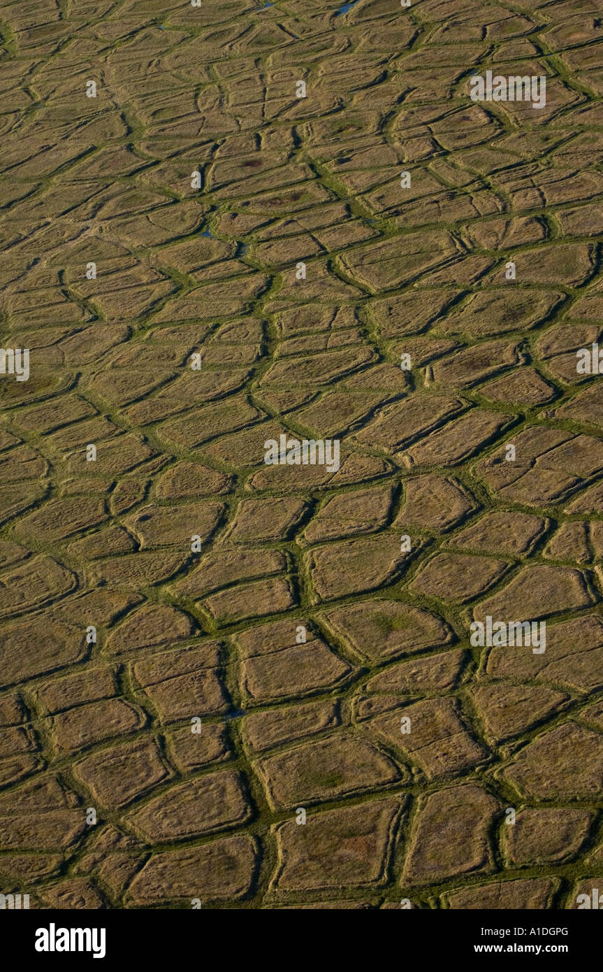 tundra landscape along the Arctic coast off the Colville River National ...
