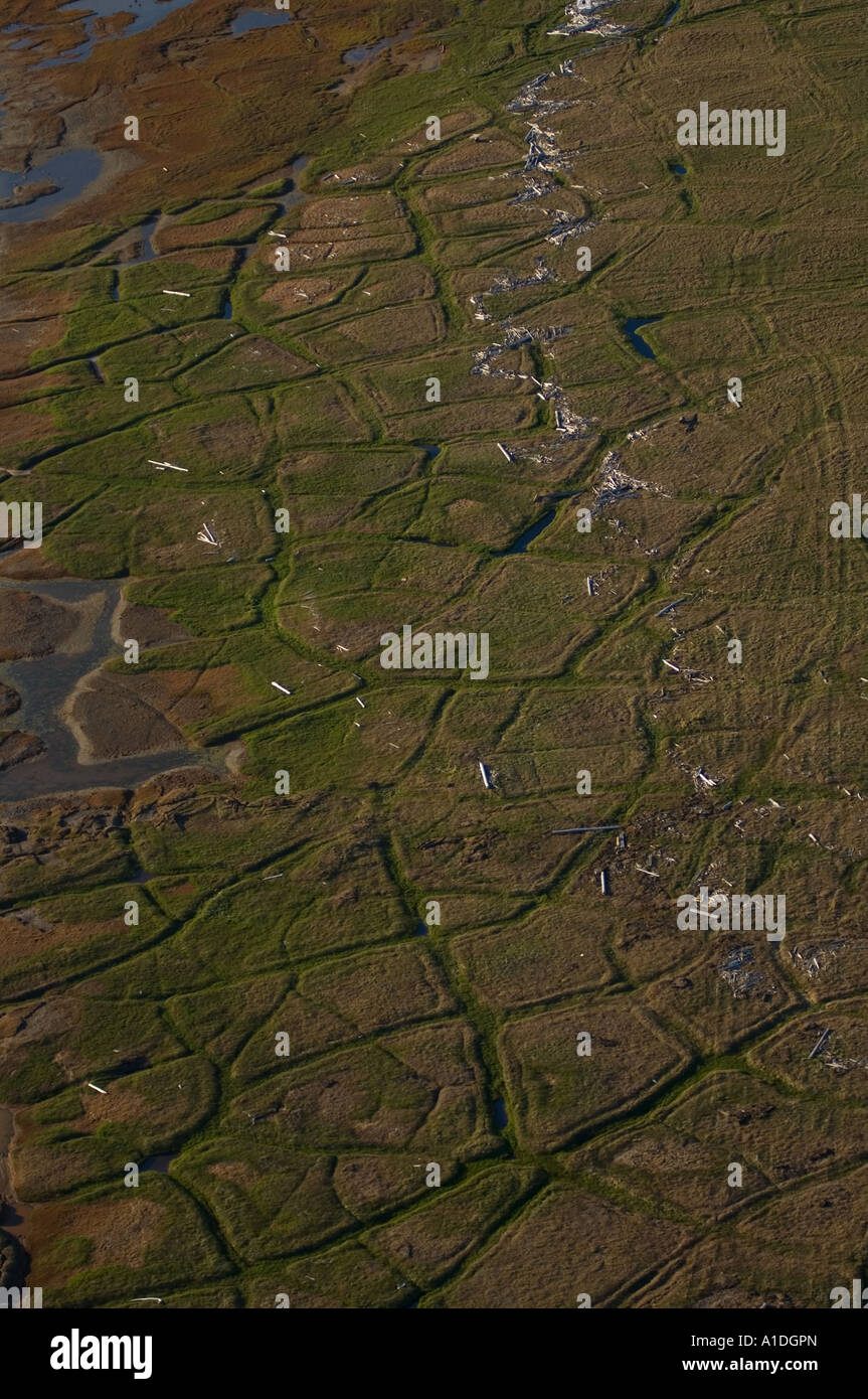 Checkered tundra hi-res stock photography and images - Alamy