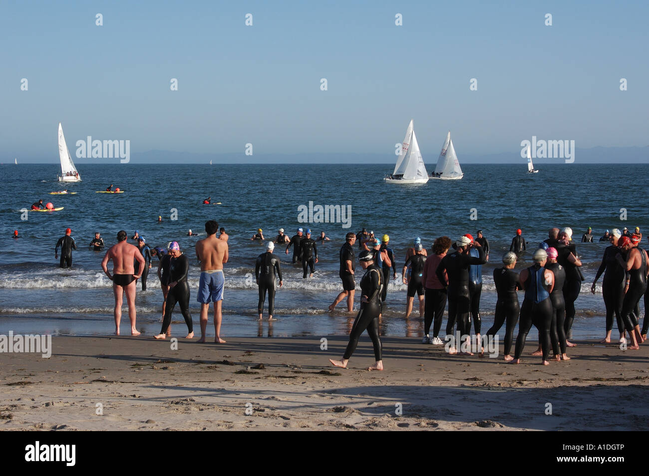 Group of Swimmers Stock Photo - Alamy