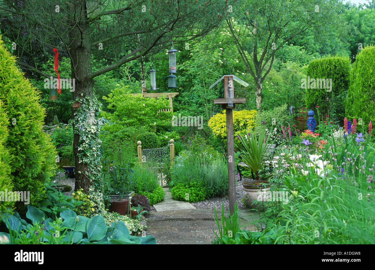 large well planted garden with lots of foliage and bird feeder Stock ...