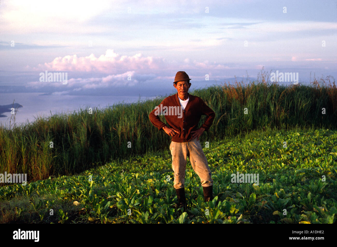 Manilla phillipines hi-res stock photography and images - Alamy