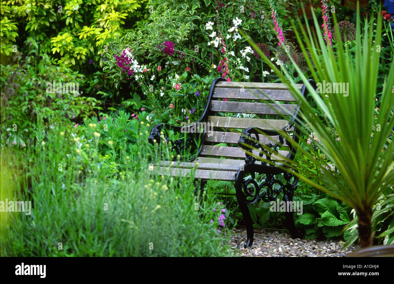 bench in well planted garden with lots of foliage Stock Photo - Alamy
