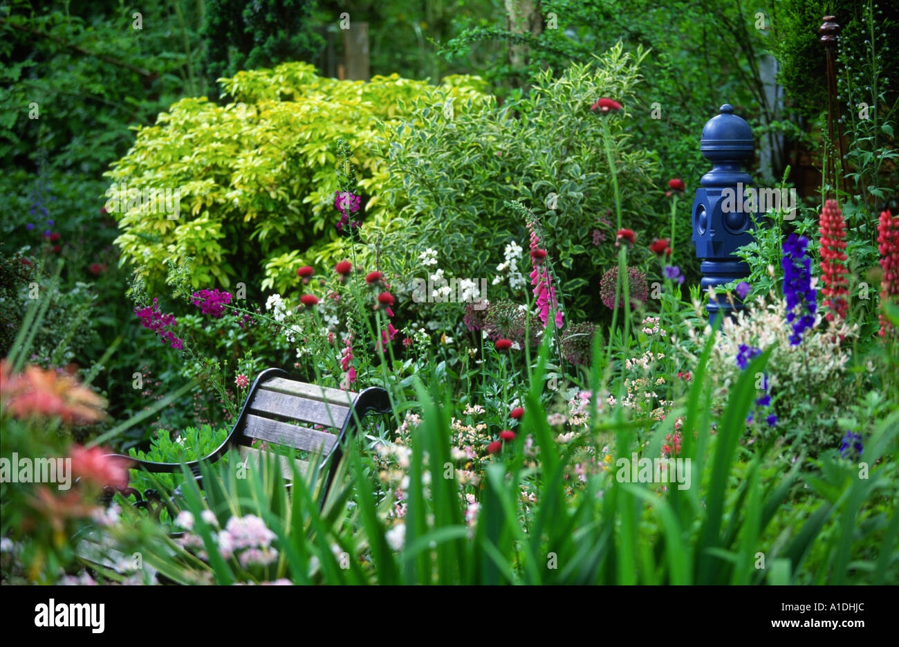 bench in well planted garden with lots of foliage Stock Photo - Alamy