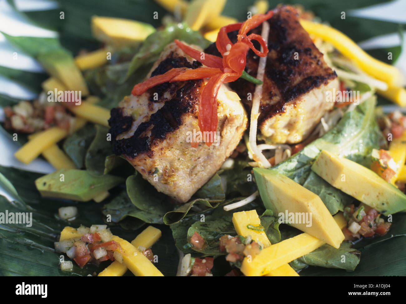 bbq fish salad with avocado Stock Photo - Alamy