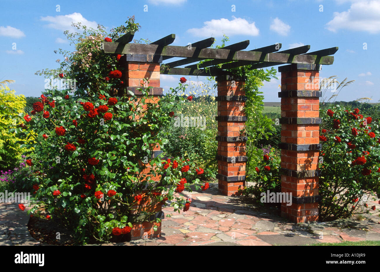 Roses garden climbing hi-res stock photography and images - Alamy