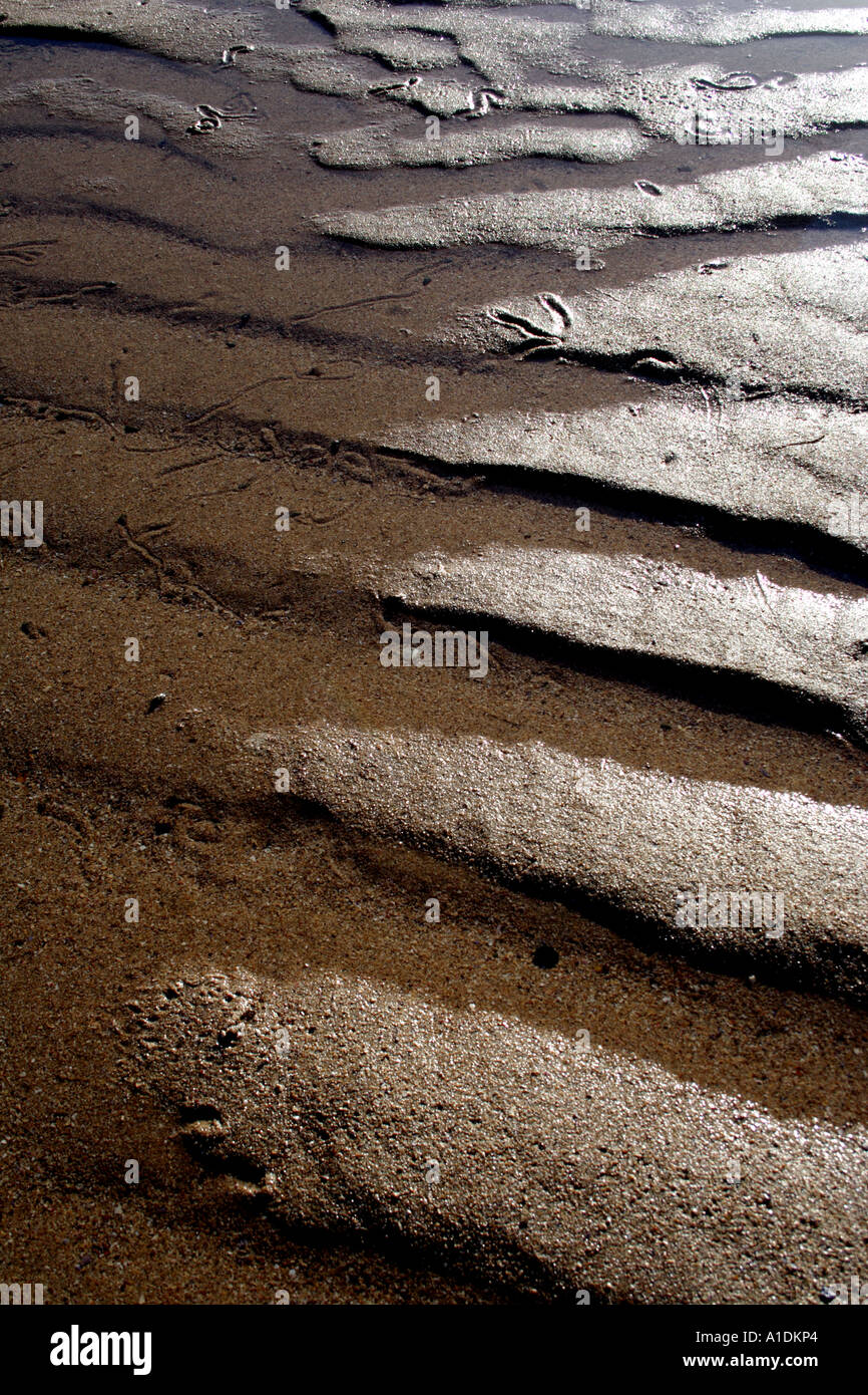 PATTERNS IN ROCKS AND SAND AT THE BEACH Stock Photo - Alamy