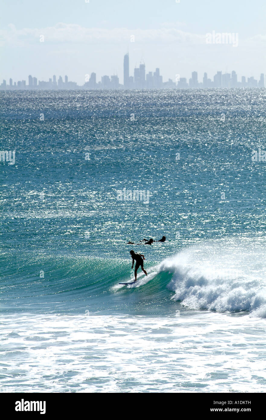 Surfers oparadise hi-res stock photography and images - Alamy