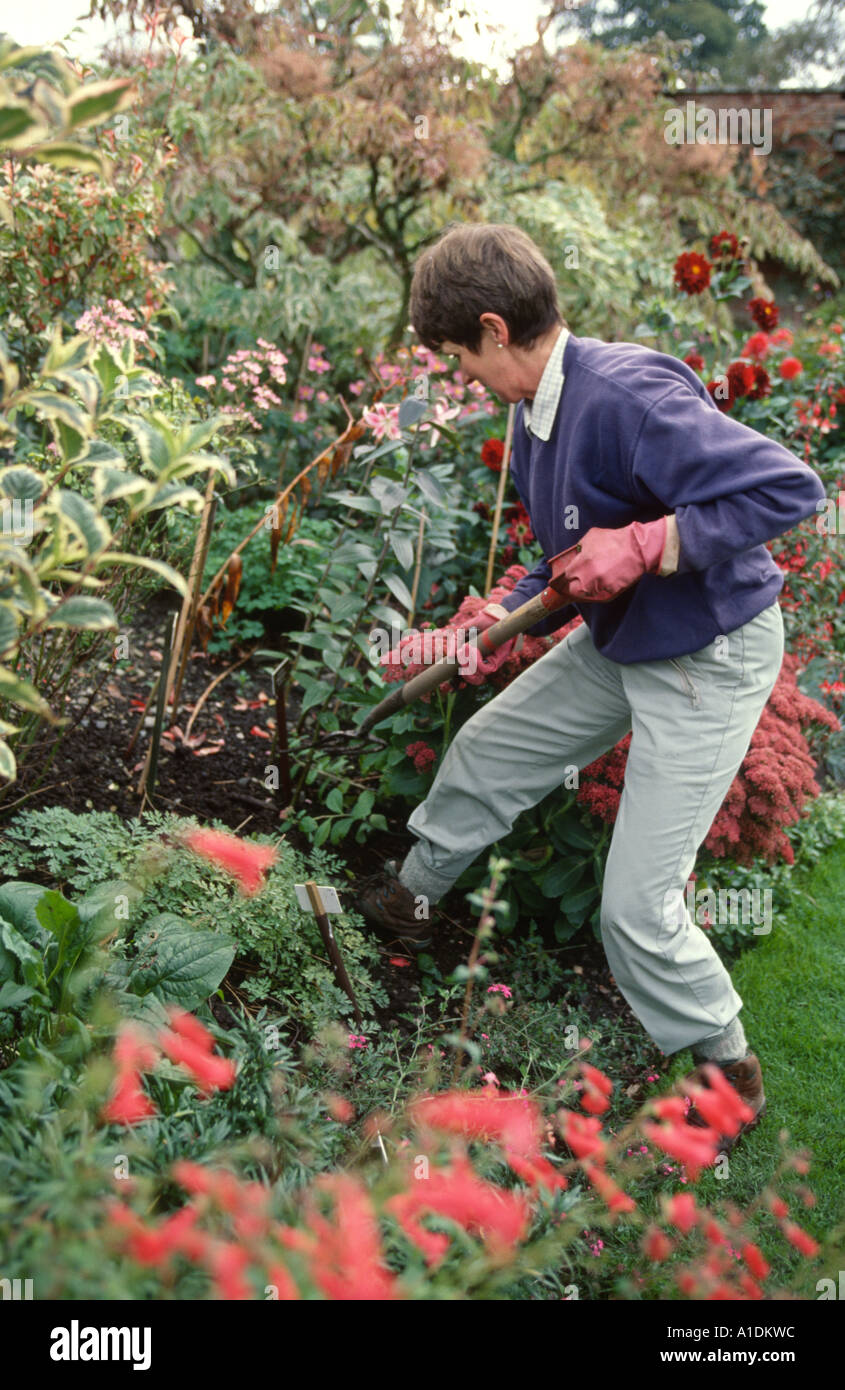 lady digging in large garden Stock Photo - Alamy