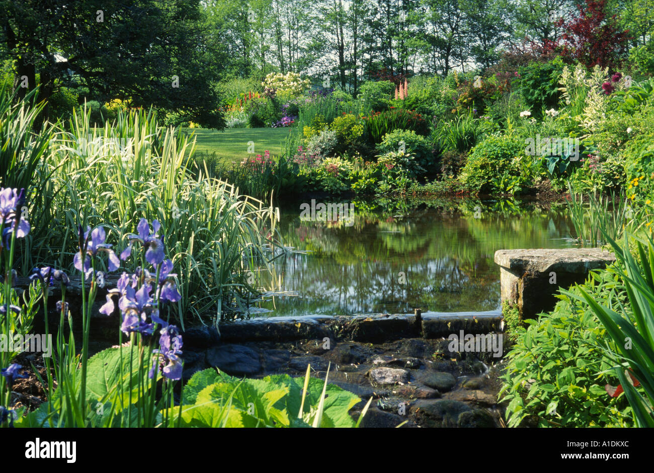 Garden water large bog garden hi-res stock photography and images - Alamy