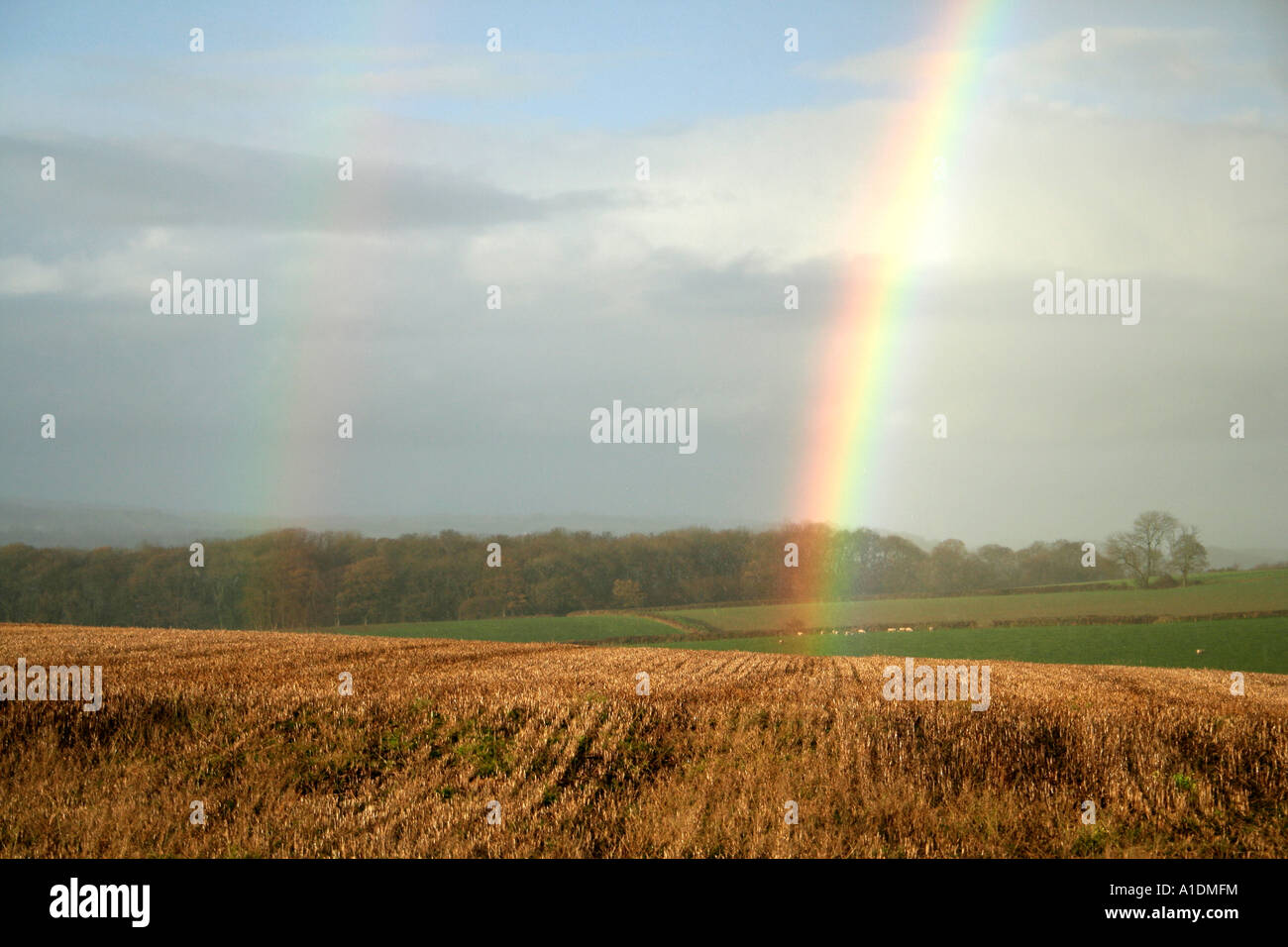 rainbow over wheat stubble near Appledore Burlescombe Devon Stock Photo ...