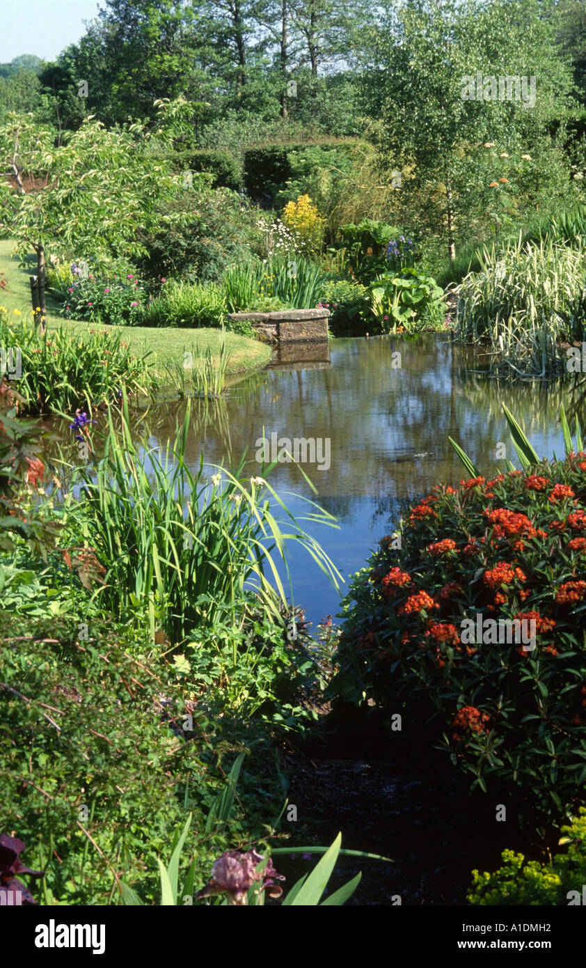large pool in cottage garden Stock Photo - Alamy