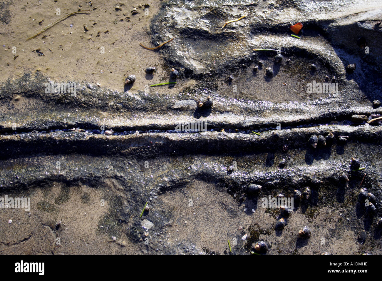 PATTERNS IN ROCK AND SAND CAUSED BY THE MOVEMENT OF THE OCEAN Stock ...
