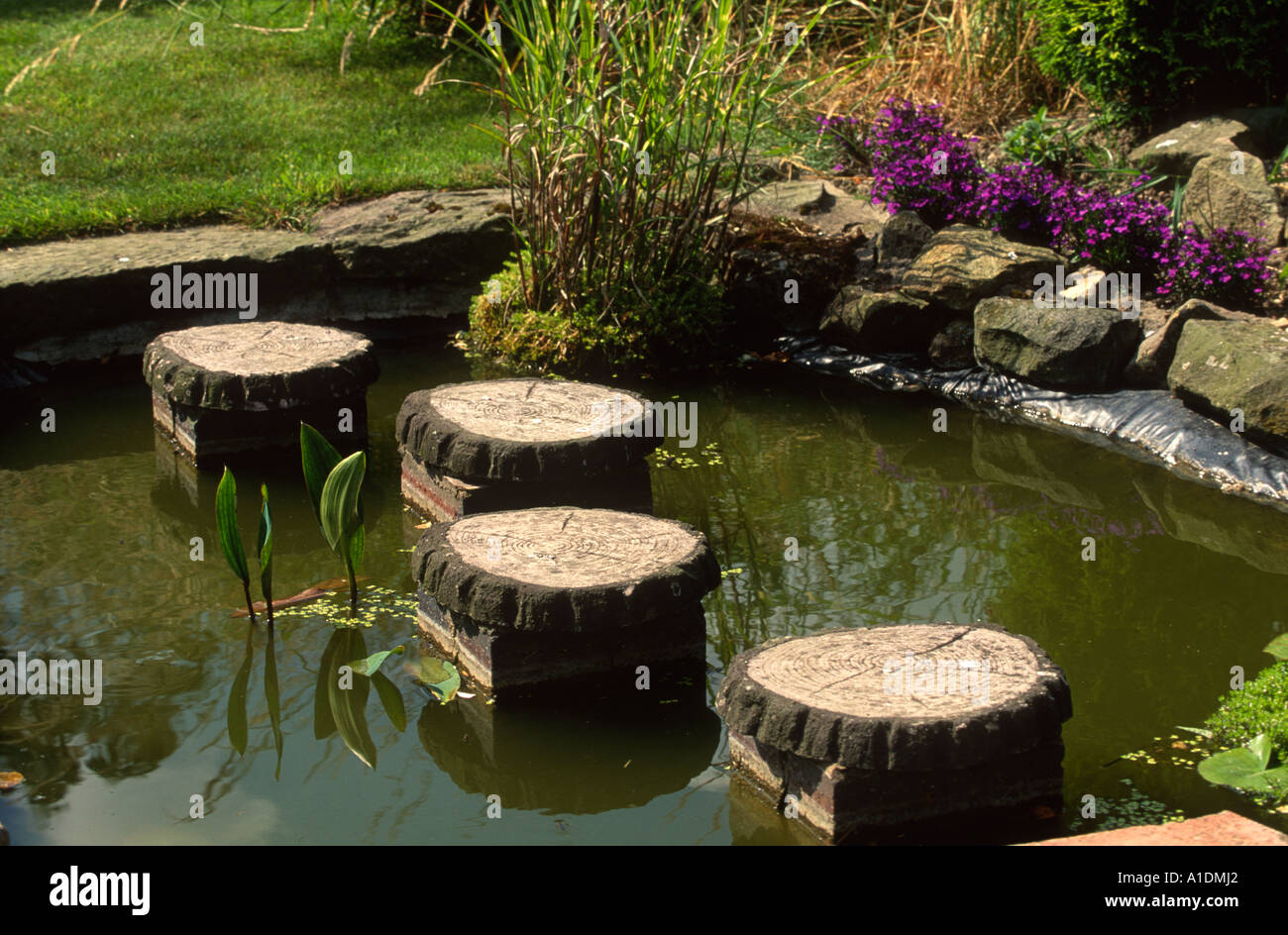 concrete stepping stones shaped like tree stumps across small pool ...