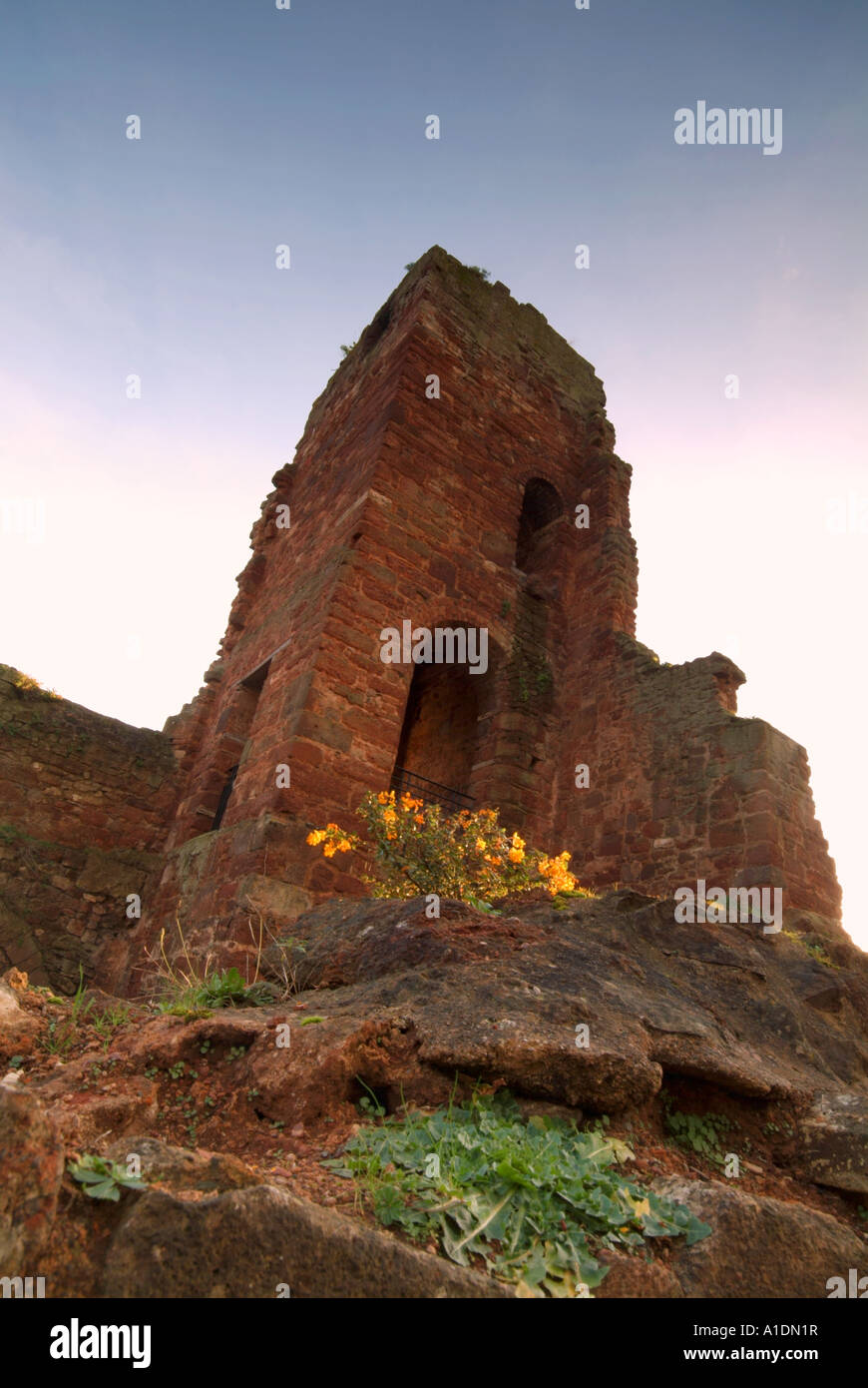 Old Exe Bridge Exeter Devon UK Stock Photo - Alamy