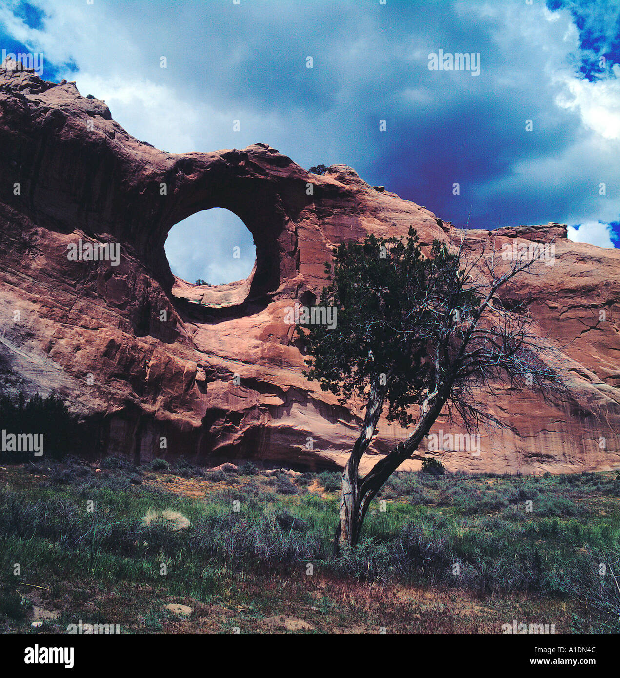 looking glass rock sandstone Utah America. Photo by Willy Matheisl ...