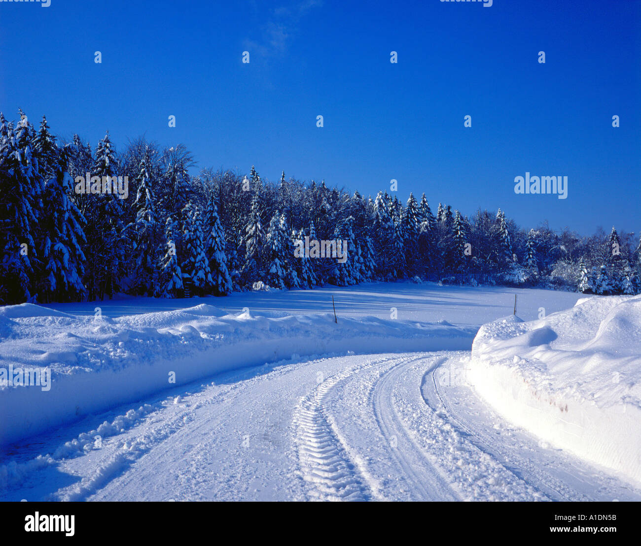snow covered road in winter. Photo by Willy Matheisl Stock Photo - Alamy