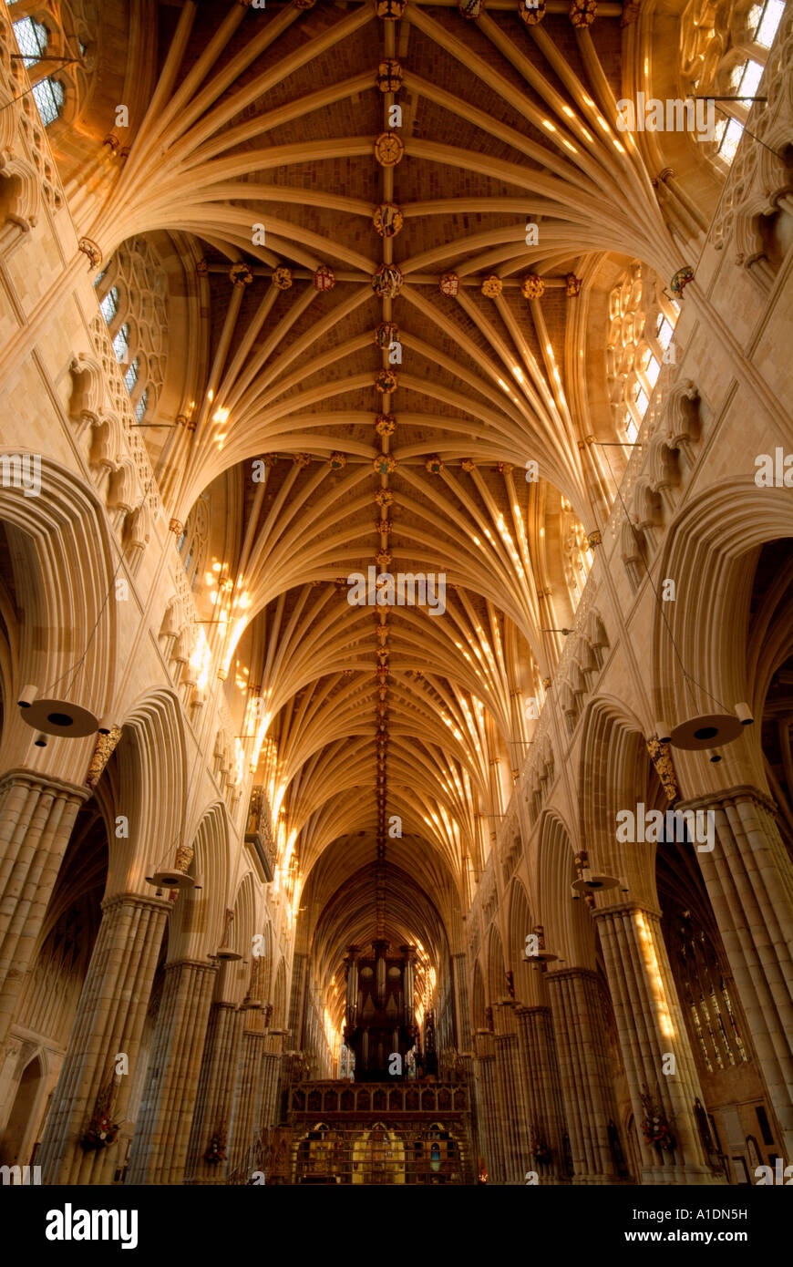 Exeter cathedral interior Devon UK Stock Photo - Alamy