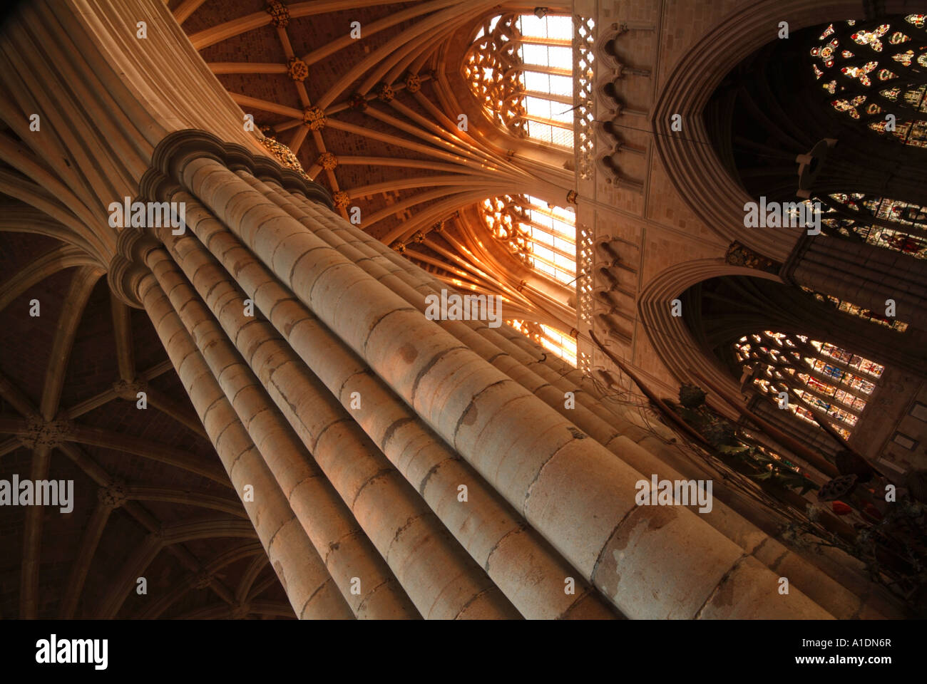 Exeter cathedral interior Devon UK Stock Photo - Alamy