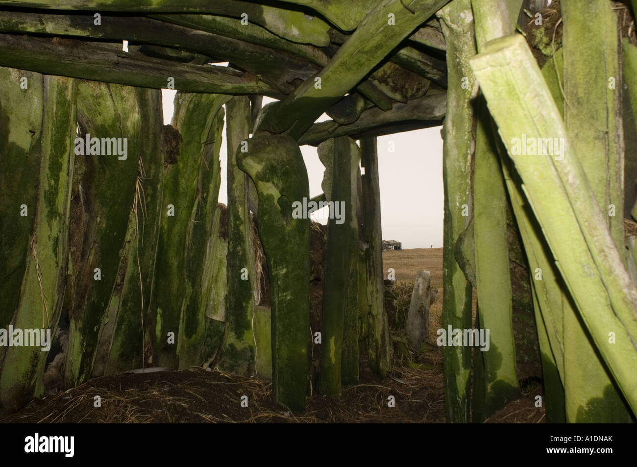 interior of the last sod house lived in since 1972 framed out of whale ...