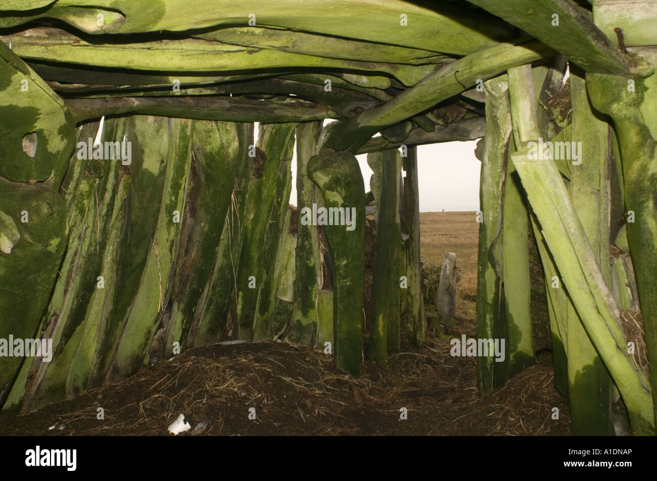 Whale Bone Sod House Reykjavik – Enclos*ure
