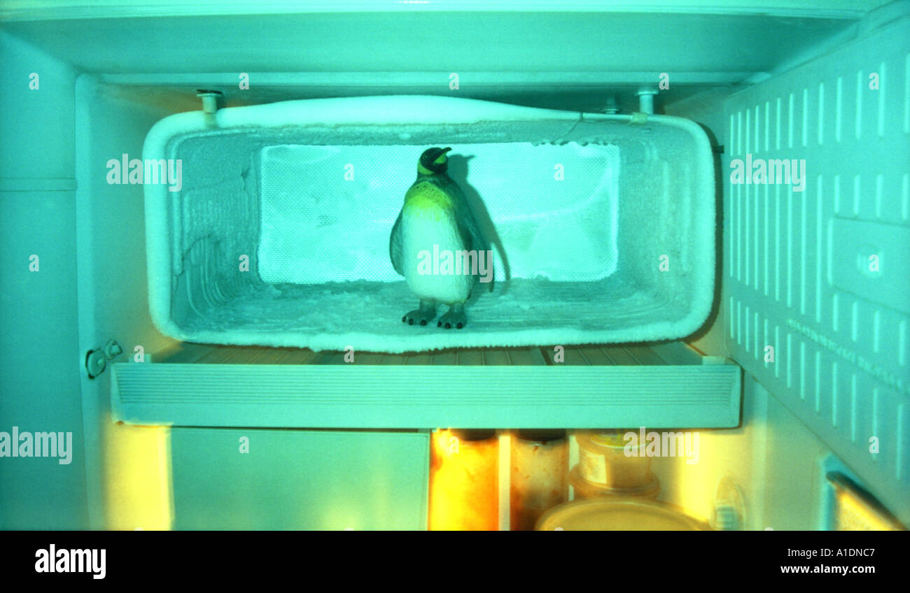Toy Penguin inside Refrigerator Stock Photo - Alamy