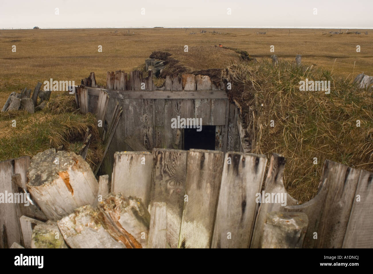 Whale Bone Sod House Reykjavik – Enclos*ure